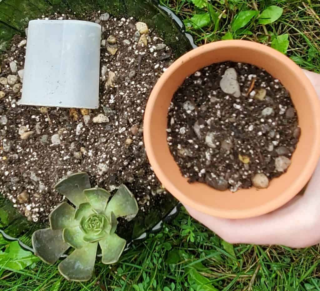 The Elixir of Growth: Unleashing the Potential of Well-Draining Soil ...